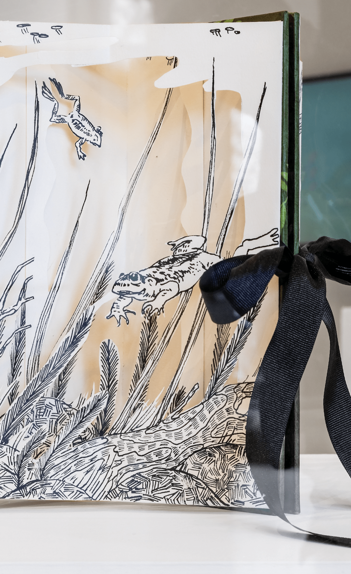 MCAD | Minneapolis College of Art and Design