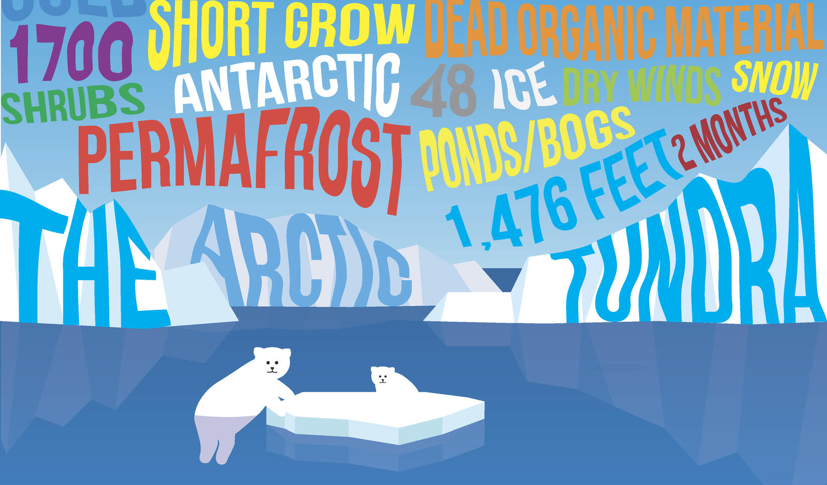 The Arctic Tundra | Minneapolis College of Art and Design